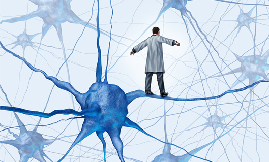 Brain Neurofeedback Services Offered At Capital District Neurofeedback